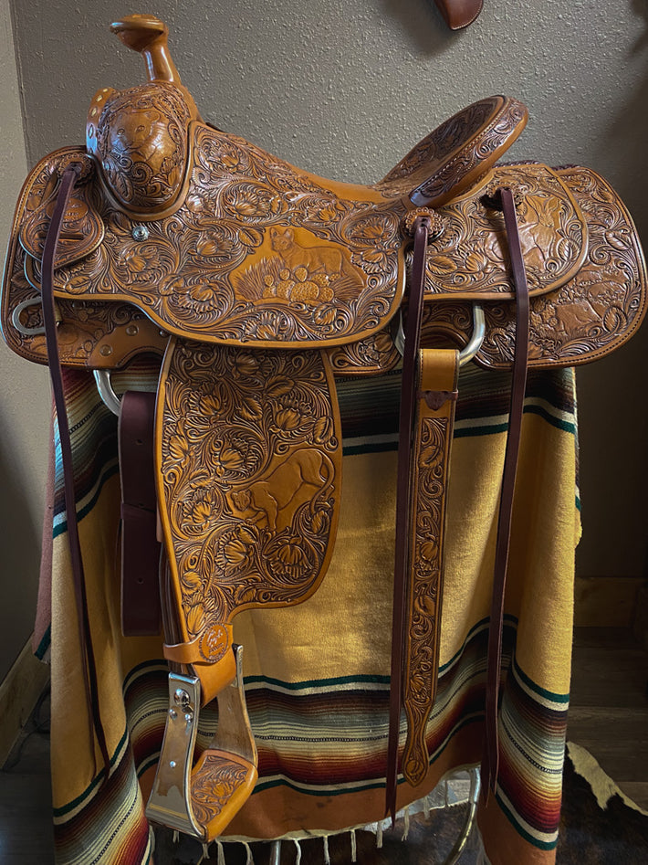 DG Saddlery Store